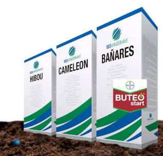 Buteo Start: un nuevo aliado para recuperar las altas polarizaciones - Agrodigital